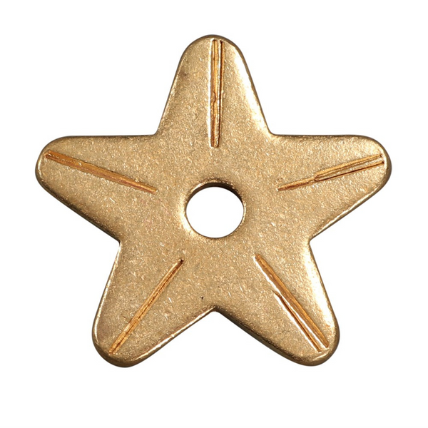 Spur Rowels 5 Point Star 1 1/4 - Clermont Agencies